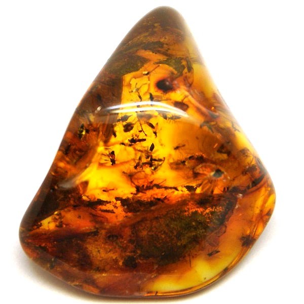 AMBRE :: creation-aum.com